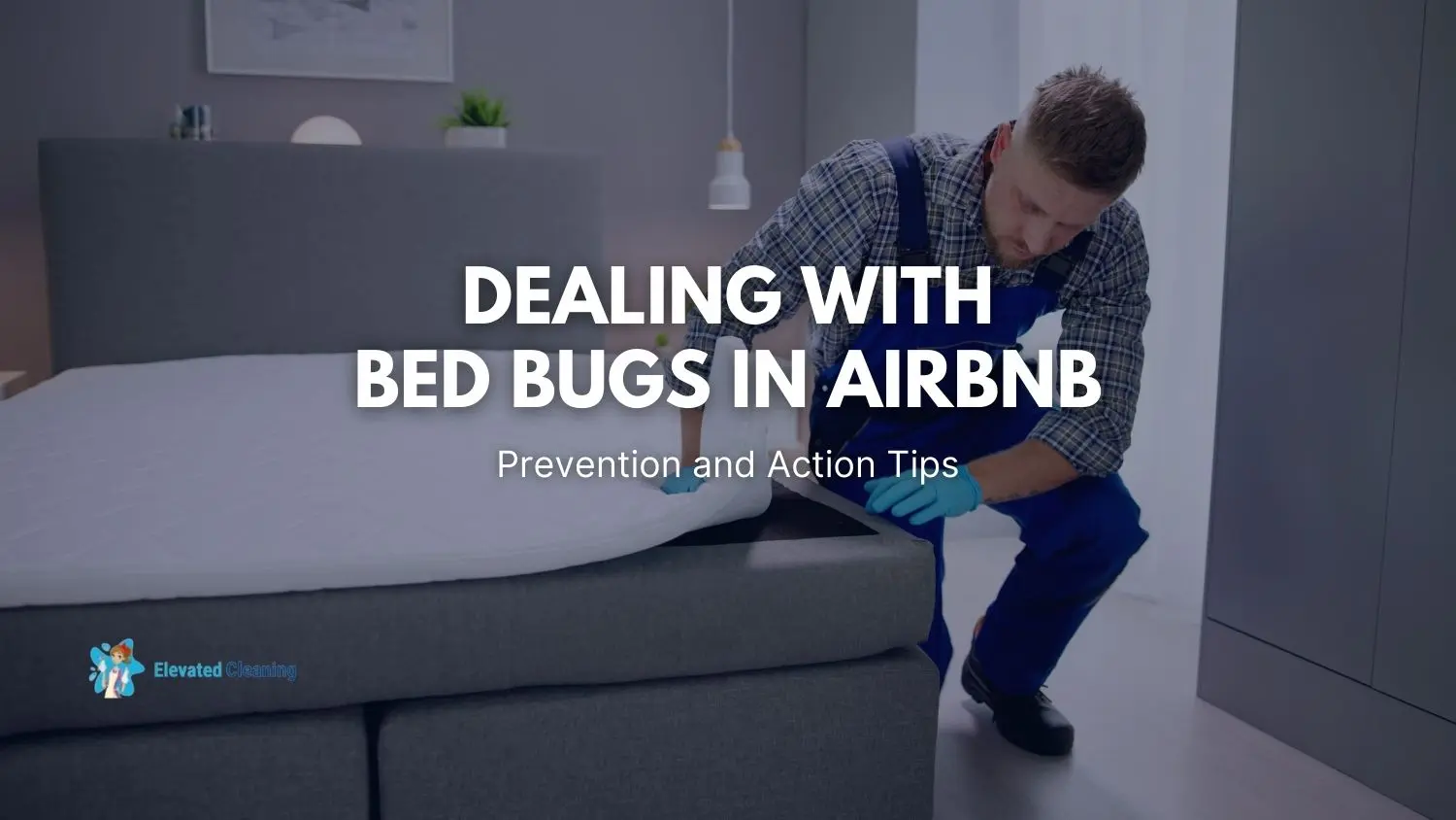Dealing With Bed Bugs In Airbnb: Prevention And Action Tips - Elevated ... Dealing With Bed Bugs In Airbnb: Prevention And Action Tips - Elevated ...